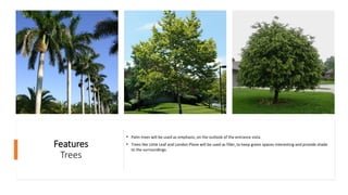 Palm lake redesign | PDF