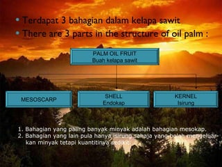 Palm oil | PPT