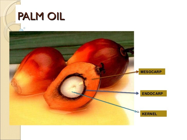 Palm oil
