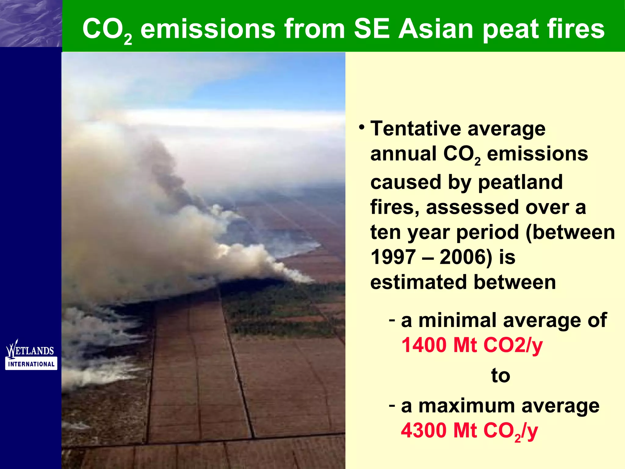 Palm Oil And Peat Training Module | PPT