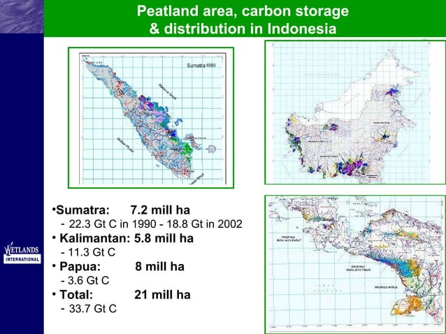 Palm Oil And Peat Training Module | PPT | Gardening | Home & Garden