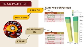 Palm oil as a healthy choice replacing hydrogenated fats | PPSX