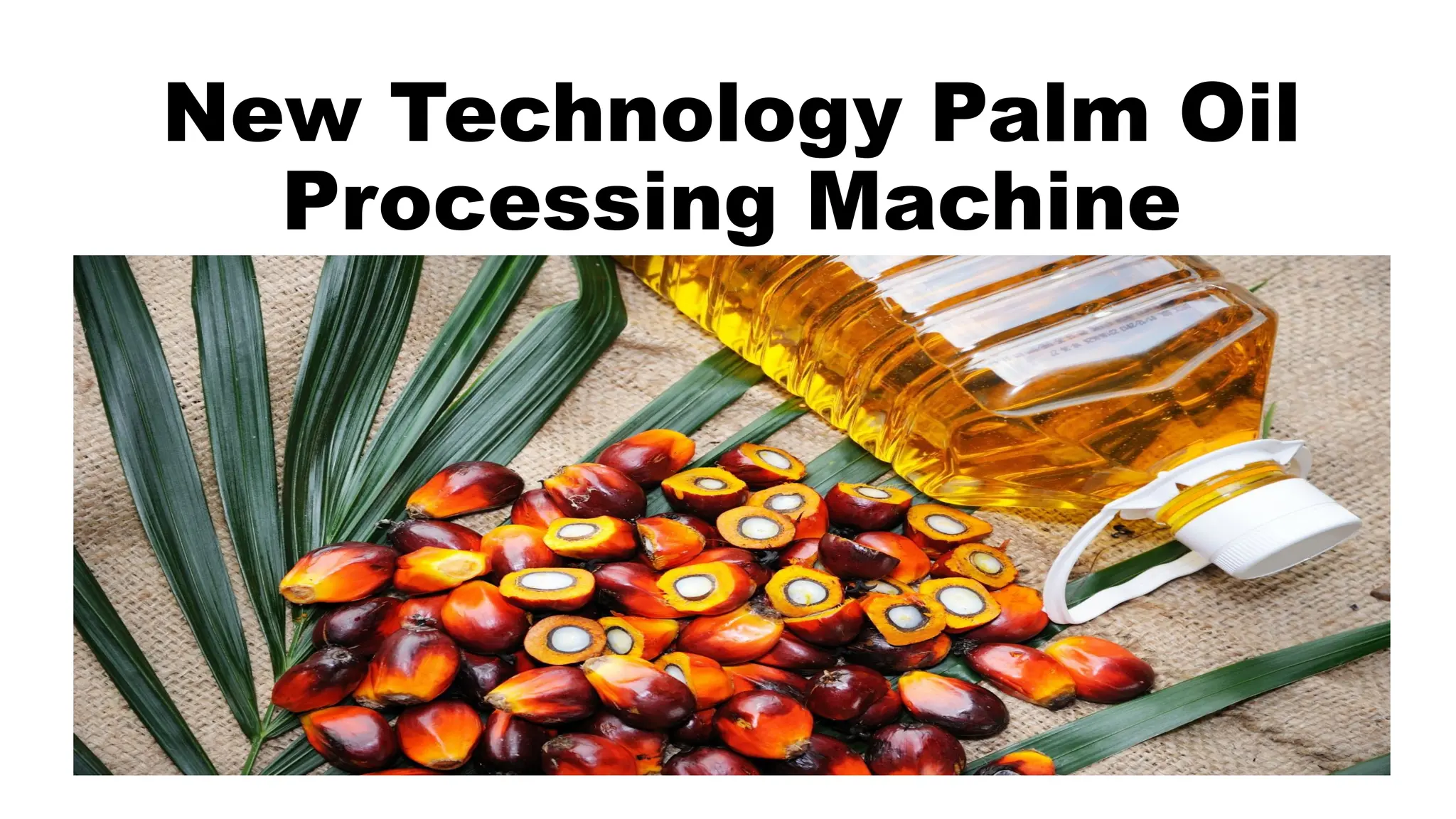 Palm Oil Production ppt.pptxROVELYN GARO | PPTX