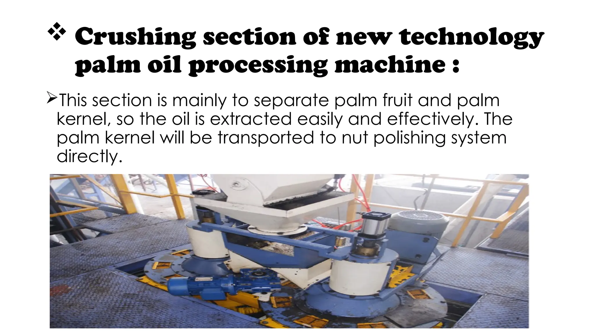 Palm Oil Production ppt.pptxROVELYN GARO | PPTX
