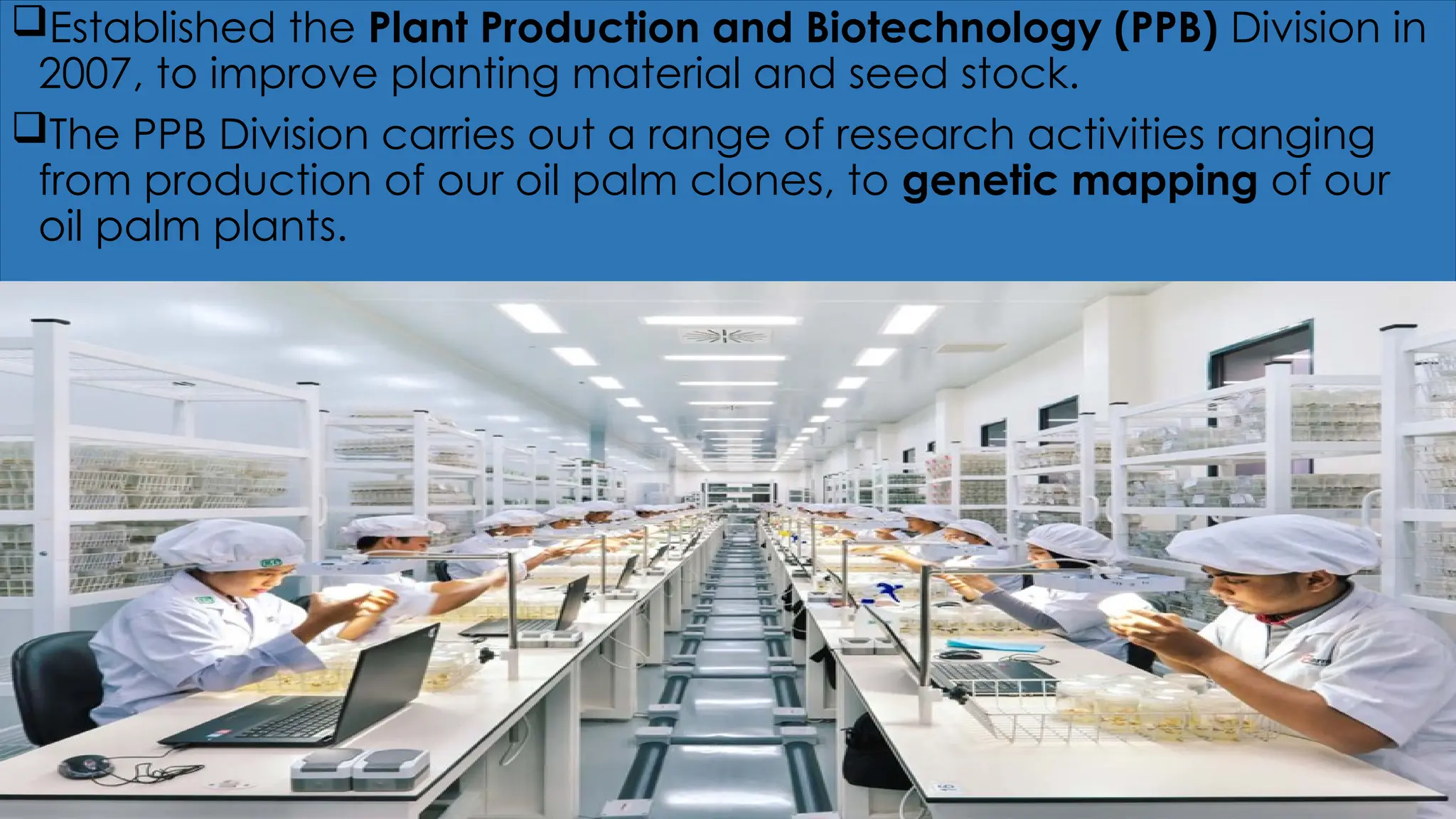 Palm Oil Production ppt.pptxROVELYN GARO | PPTX