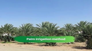 Palm Oil Production ppt.pptxROVELYN GARO | PPTX