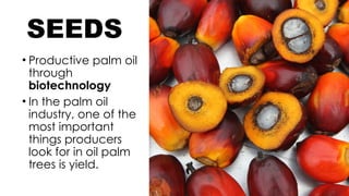 Palm Oil Production ppt.pptxROVELYN GARO | PPTX