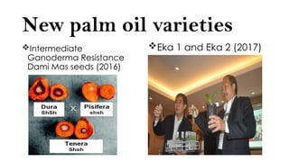 Palm Oil Production ppt.pptxROVELYN GARO | PPTX