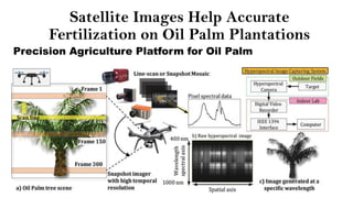 Palm Oil Production ppt.pptxROVELYN GARO | PPTX
