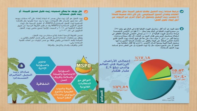 Palm oil properties and applications | PDF