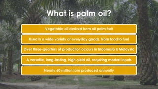 Palm Oil: Sustainability achieved through transparency | PDF
