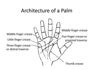 Palmprint recognition presentation | PPTX