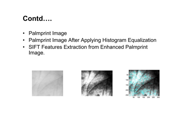 Palmprint Verification Using Lagrangian Decomposition And Invariant