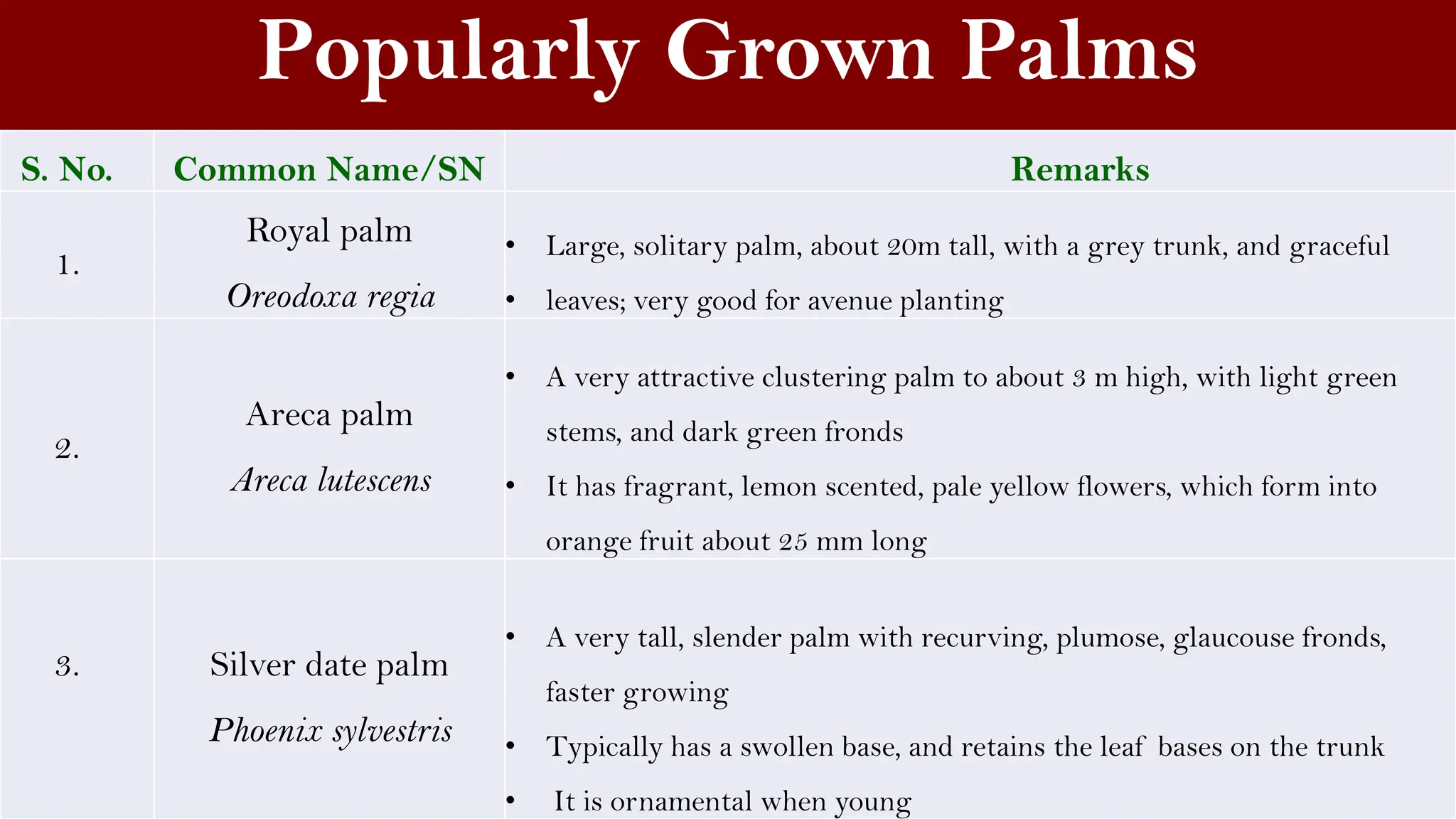 Palms and Ferns used in Landscape gardening.pdf