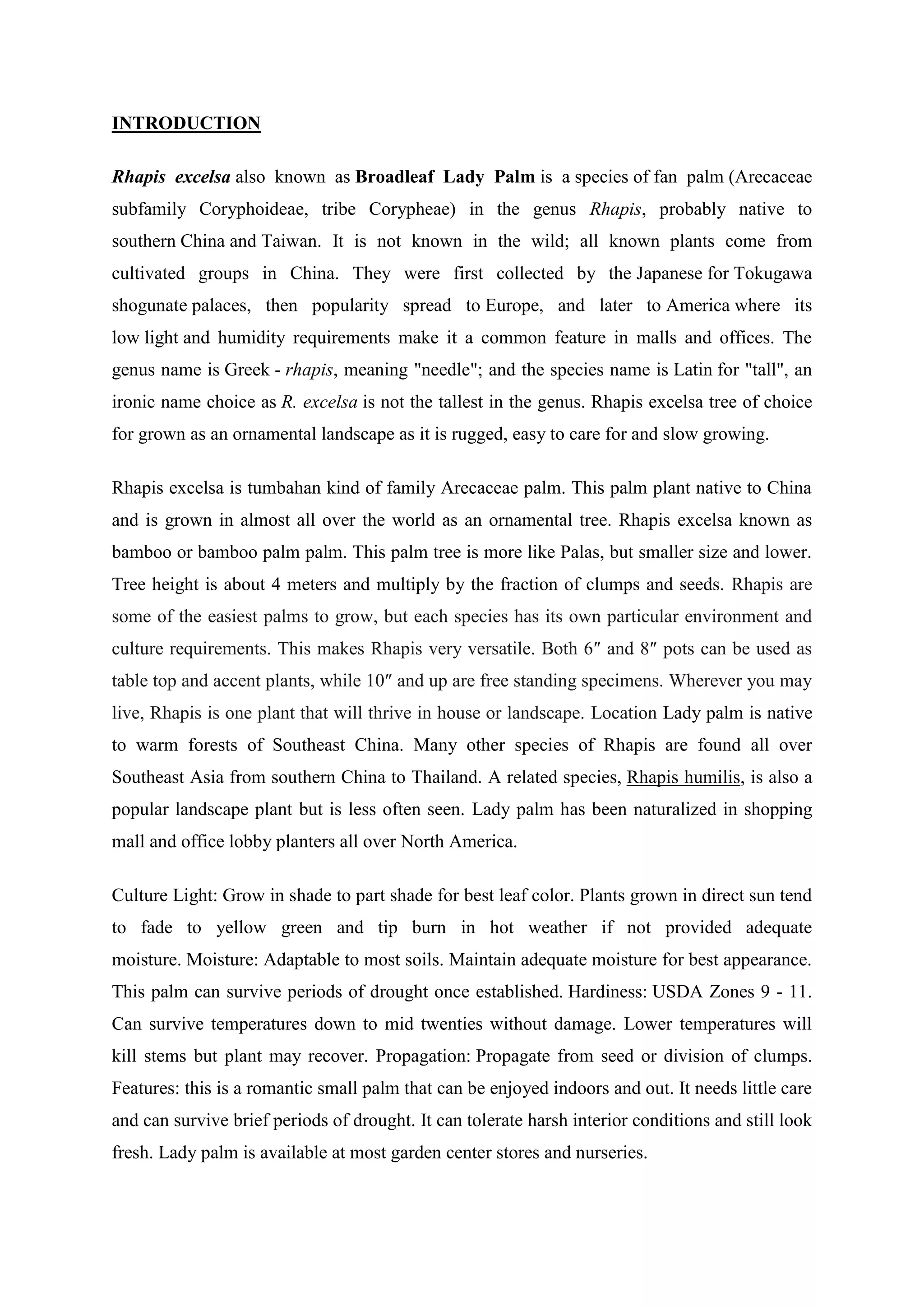 Palms rhapis excelsa | DOCX