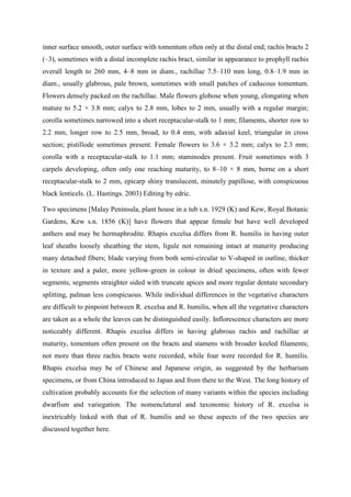 Palms rhapis excelsa | DOCX