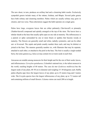 Palms rhapis excelsa | DOCX