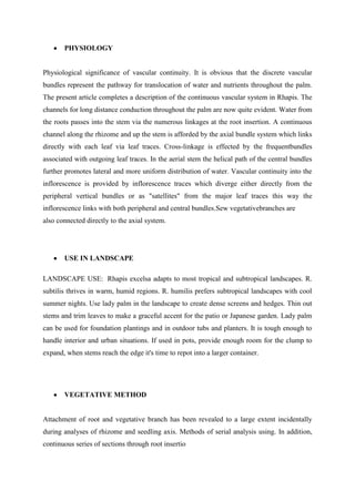 Palms rhapis excelsa | DOCX