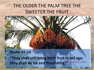Palm tree christians | PPTX