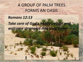 Palm tree christians | PPTX