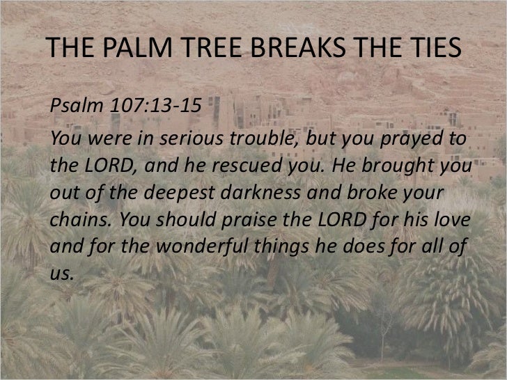 Palm Tree Bible Quotes