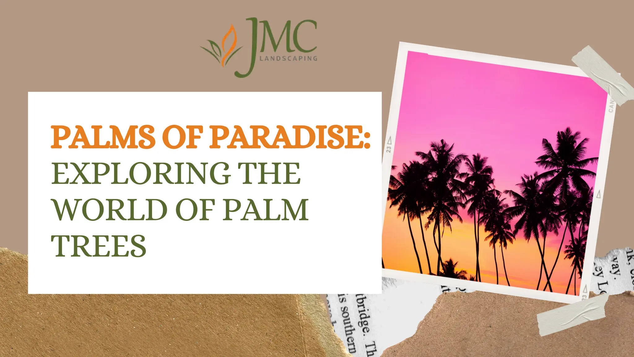 "Exploring Palm Trees: Diversity, Culture, and Sustainability- JMC ...