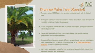 "Exploring Palm Trees: Diversity, Culture, and Sustainability- JMC ...