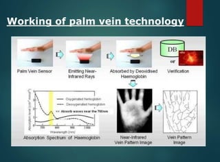 Palm vein technology | PPTX