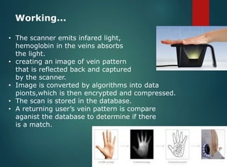 Palm vein technology | PPTX