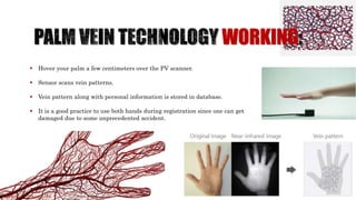 Palm Vein Technology | PPTX | Technology & Computing