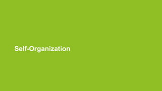 Self-Organization in Agile & Digital Transformation | PDF
