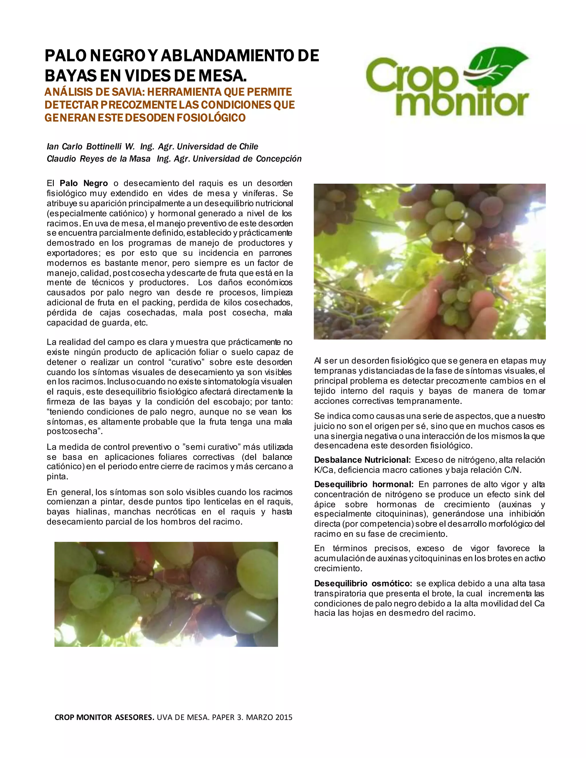 Detección precoz de Palo Negro mediante Analisis de Savia en Uva de ...