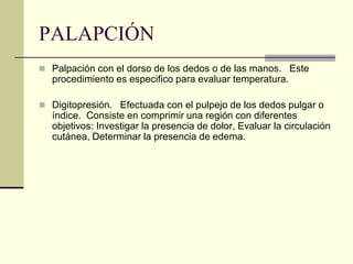 palpación ES UNA DE LAS TECNICAS MAS IMPORTANTE DEL EJERCICIO DE LA ...
