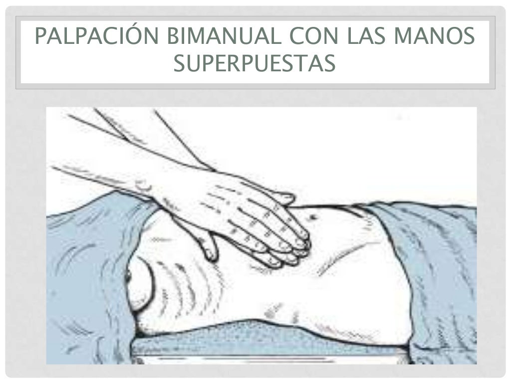Palpación del abdomen