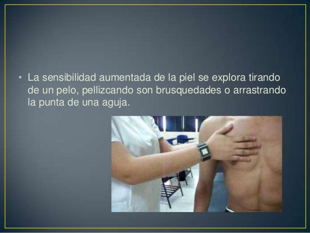 Palpacion del torax exploracion fisica