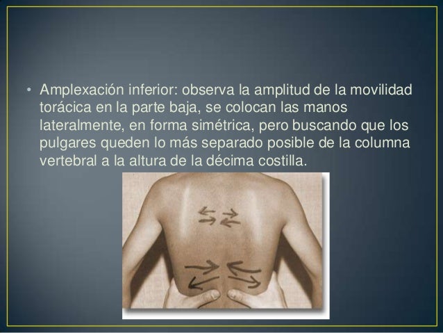 Palpacion del torax exploracion fisica