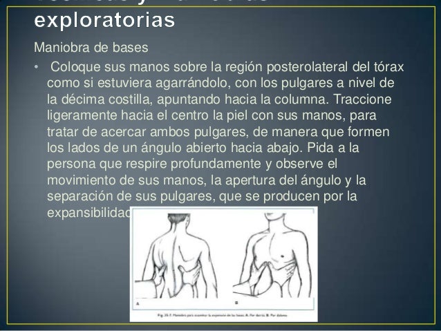 Palpacion del torax exploracion fisica