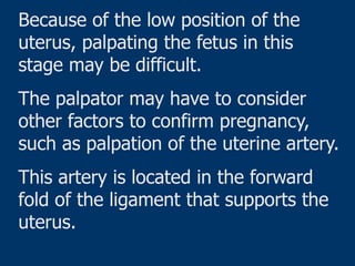 Palpation and pregnancy ppt [autosaved] | PPTX