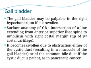 Palpation of the abdomen lecture 4ج.pptx
