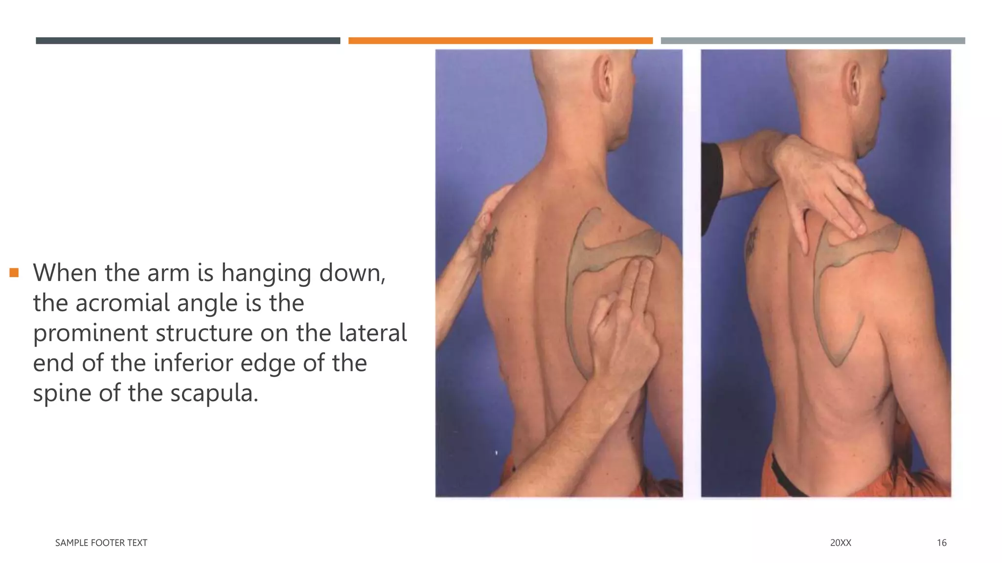 PalpaTion Techniques- 1.pptx