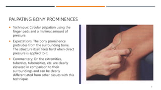 PalpaTion Techniques- 1.pptx