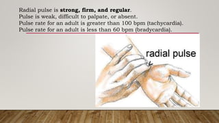 Palpitation - Propedeutics of Internal Diseases.pptx