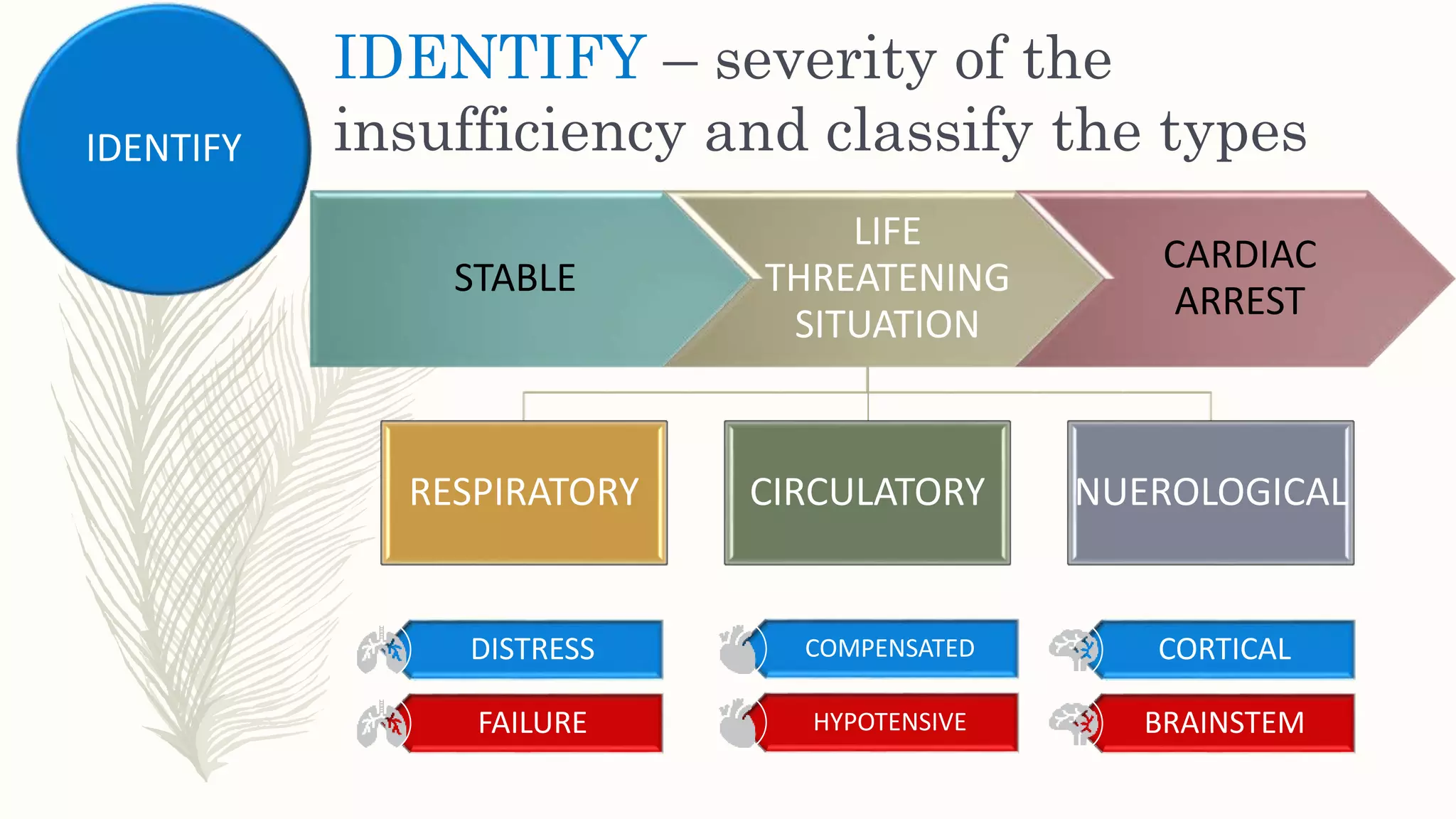 PALS - Pediatric advanced life support | PPTX