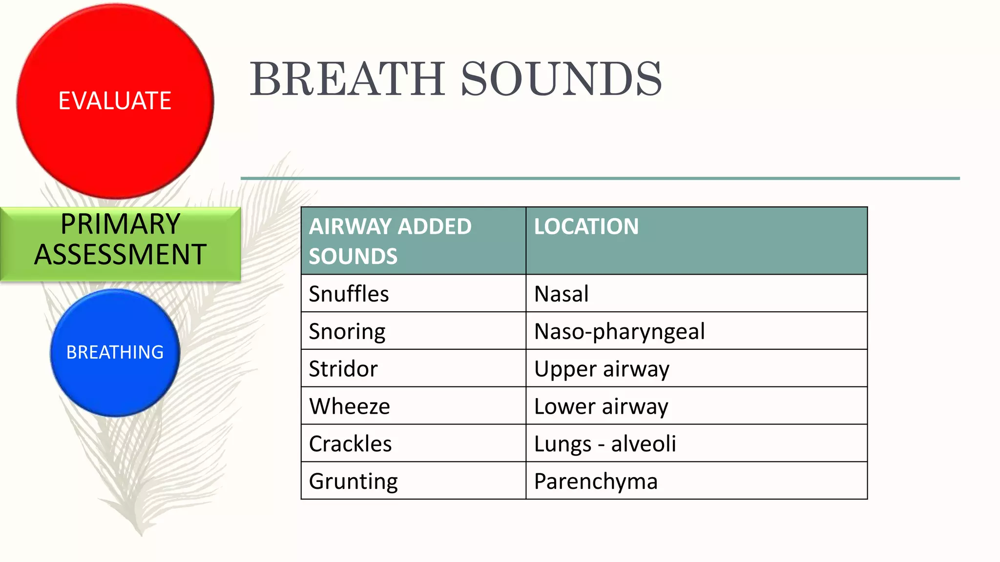 PALS - Pediatric advanced life support | PPTX | Lung and Respiratory ...