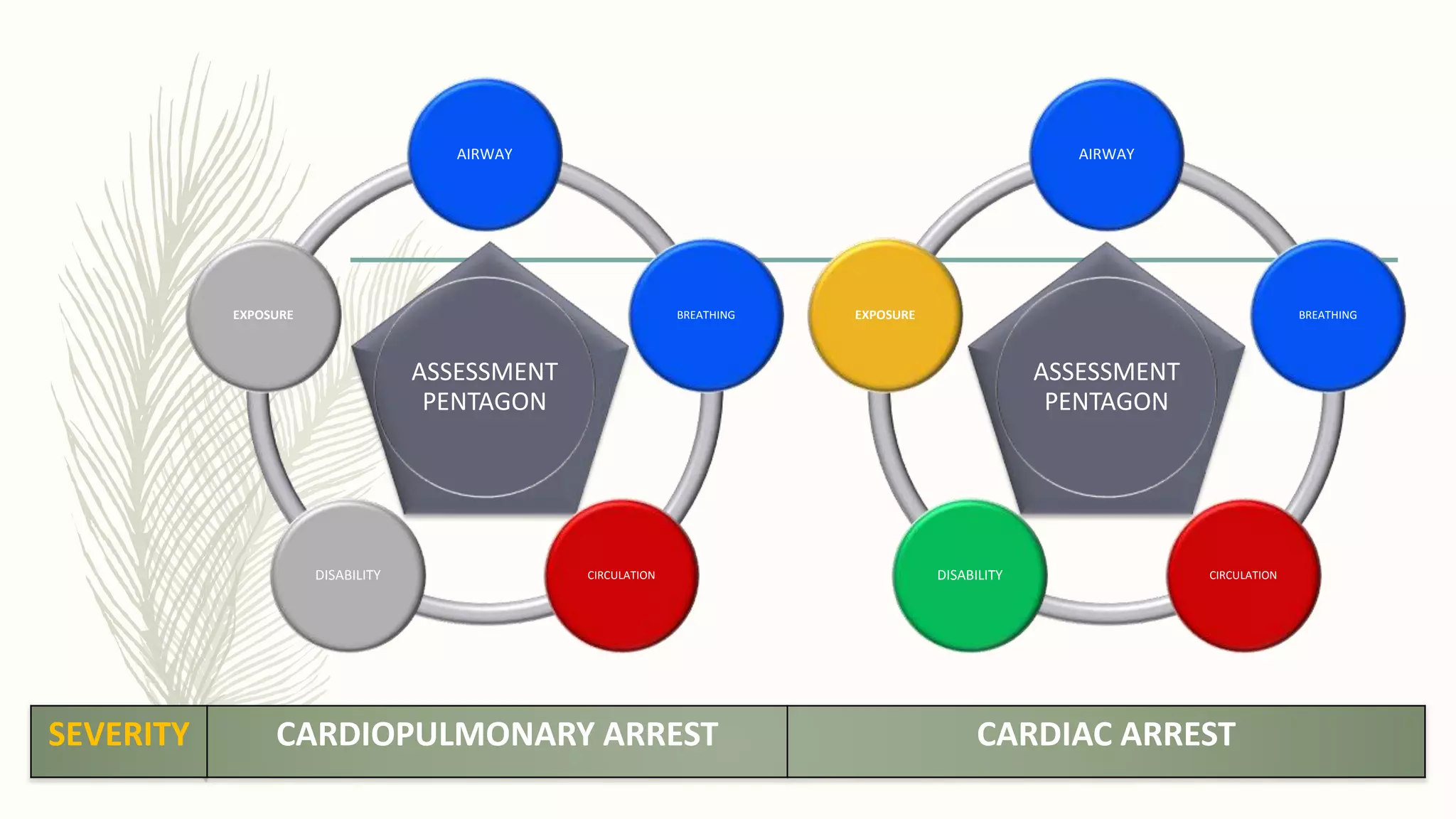 PALS - Pediatric advanced life support | PPTX | Lung and Respiratory ...