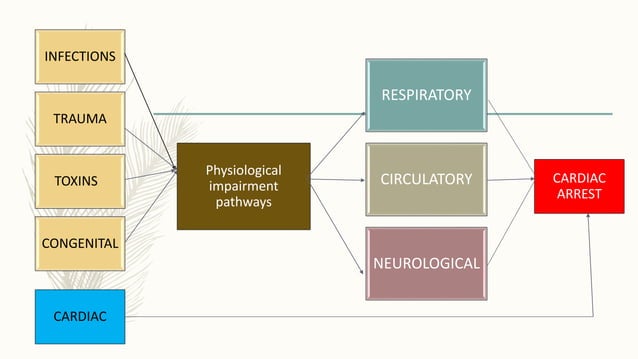 PALS - Pediatric advanced life support | PPTX | Lung and Respiratory ...