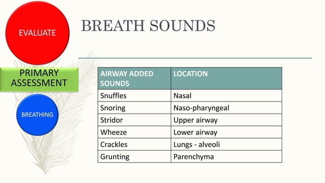 PALS - Pediatric advanced life support | PPTX | Lung and Respiratory ...