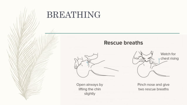 PALS - Pediatric advanced life support | PPTX | Lung and Respiratory ...