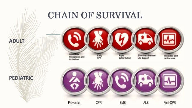 PALS - Pediatric advanced life support