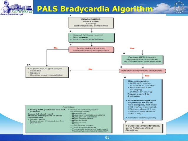 Pals%20update%202005%20to%202010 chodchanok